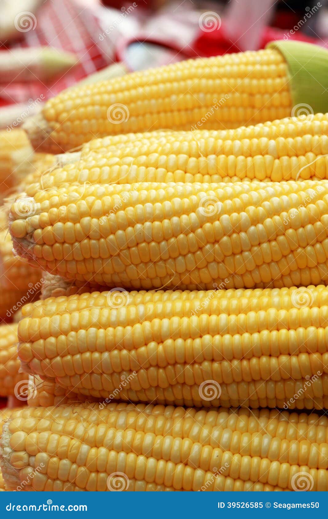 Sweet corn in the market stock image. Image of vegetarian - 39526585