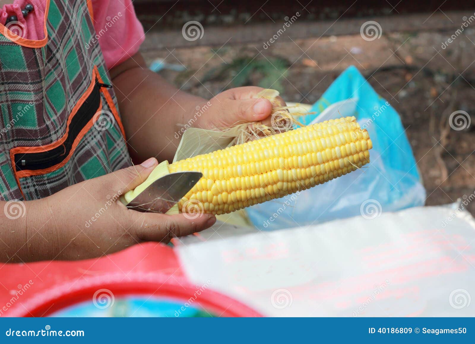 Sweet corn in the market stock image. Image of sweetcorn - 40186809