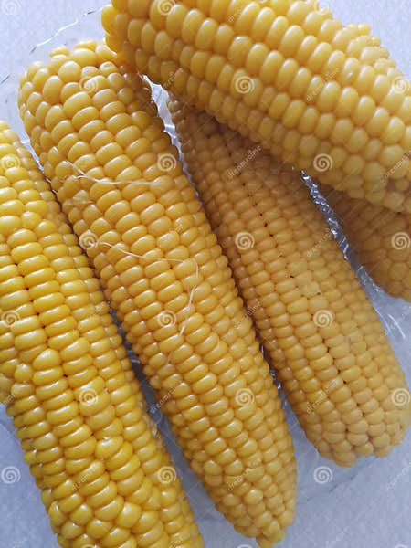 Sweet corn stock image. Image of plate, helthy, food - 107260883