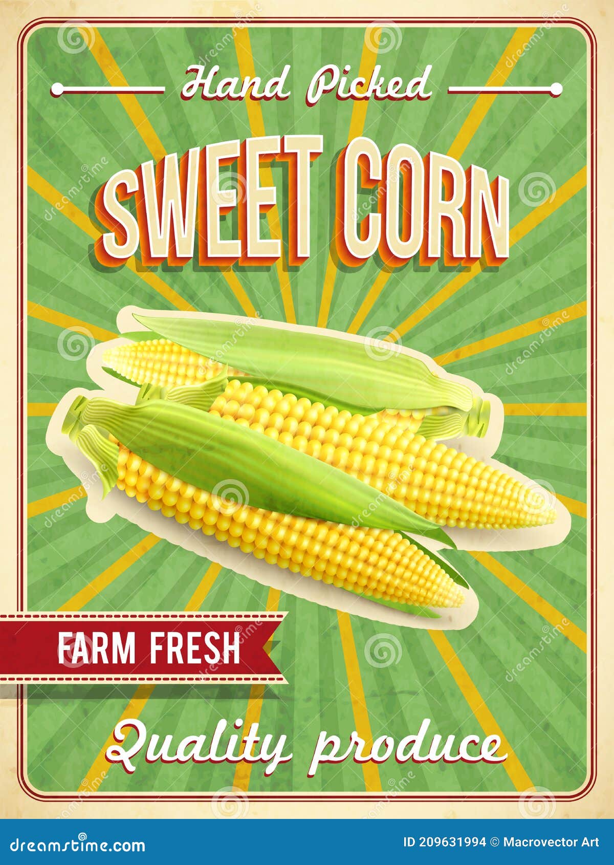 Sweet Corn Poster stock vector. Illustration of quality - 209631994