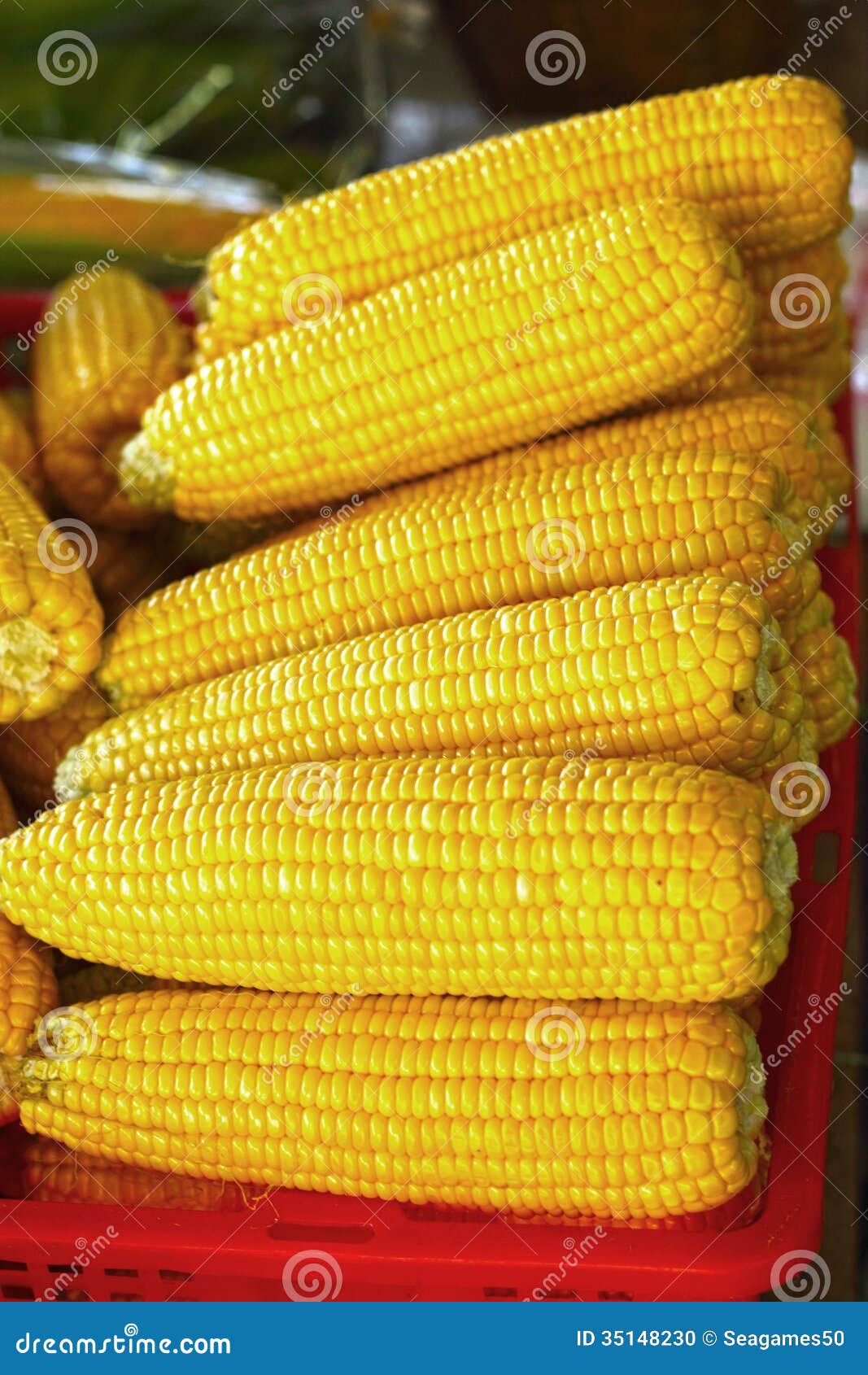 Sweet Corn Put Row Market Stock Photos - Free & Royalty-Free Stock ...