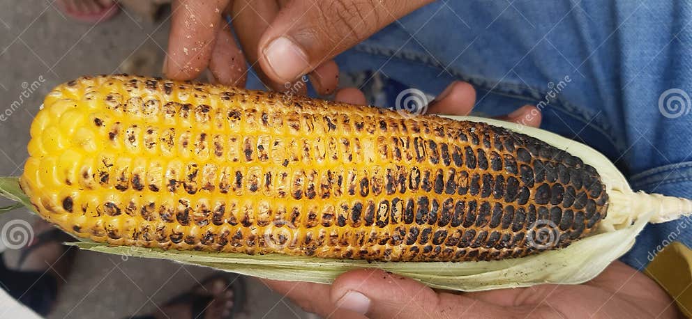 Sweet corn in rosted stock image. Image of food, hand - 226401547