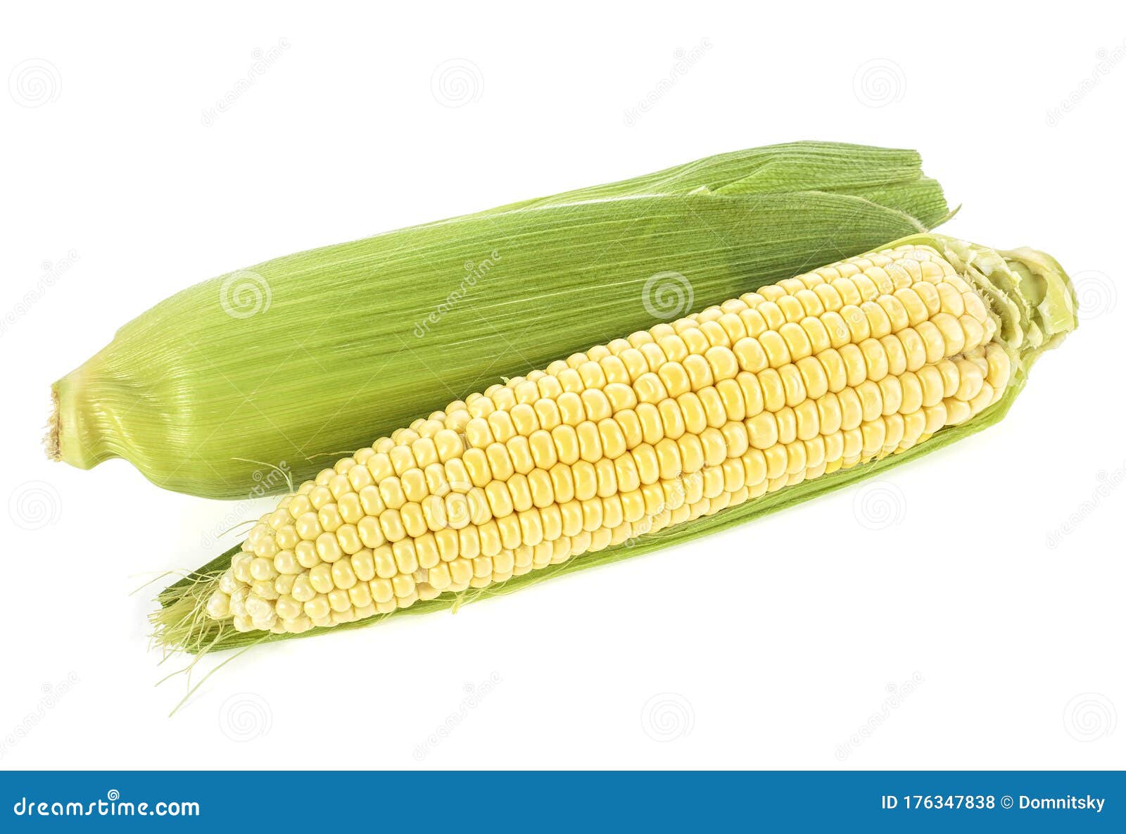10,545 Background Cobs Photos - Free & Royalty-Free Stock Photos from ...
