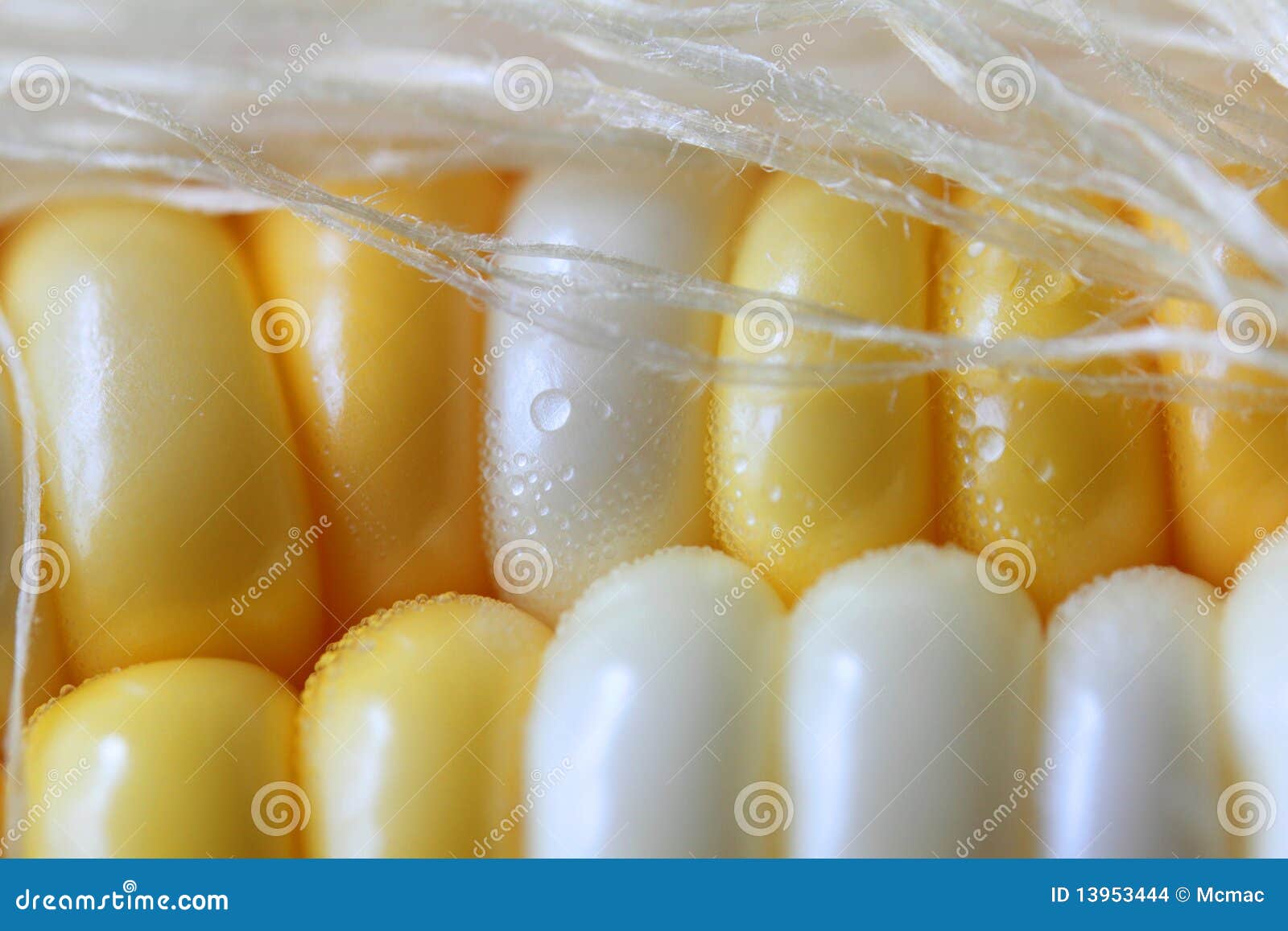 Sweet Corn with Silk: Extreme Close Up Stock Photo - Image of grains ...