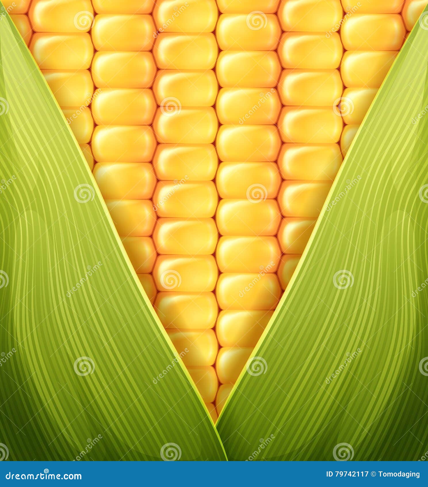 Sweet corn texture pattern stock vector. Illustration of textured ...