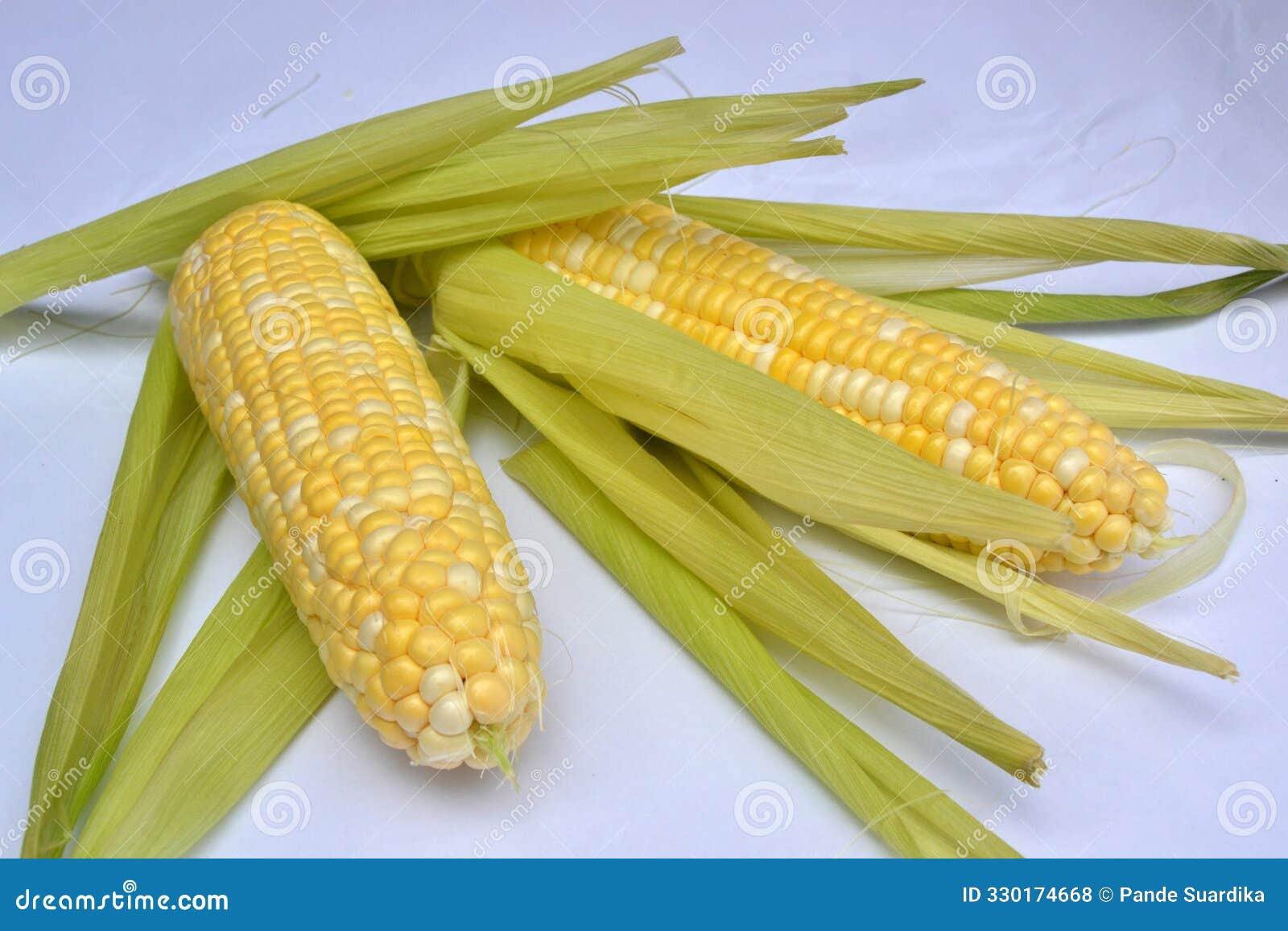 Sweet corn with two colors stock photo. Image of shrub - 330174668