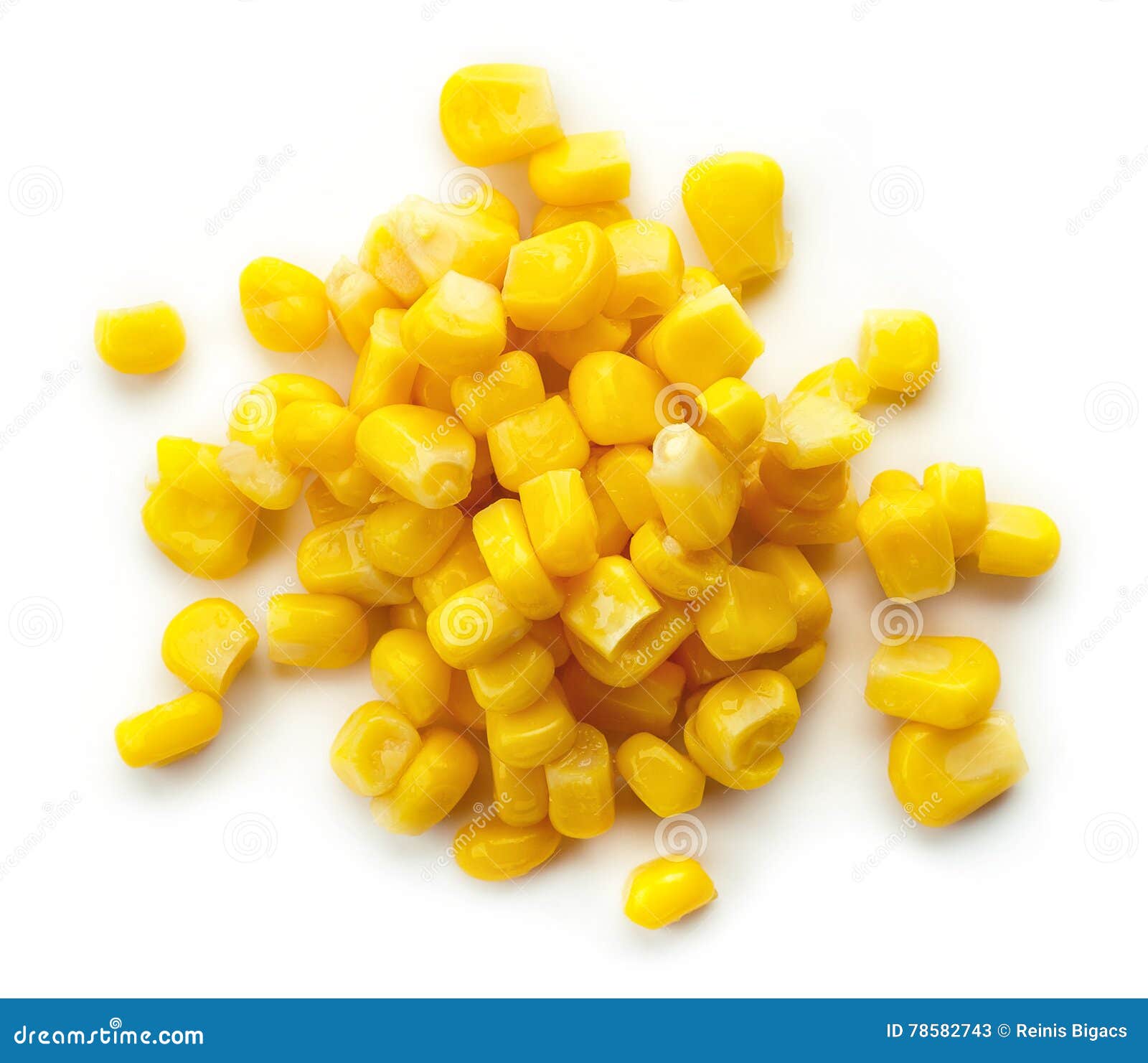 Sweet Corn on White from Above Stock Image - Image of food, round: 78582743