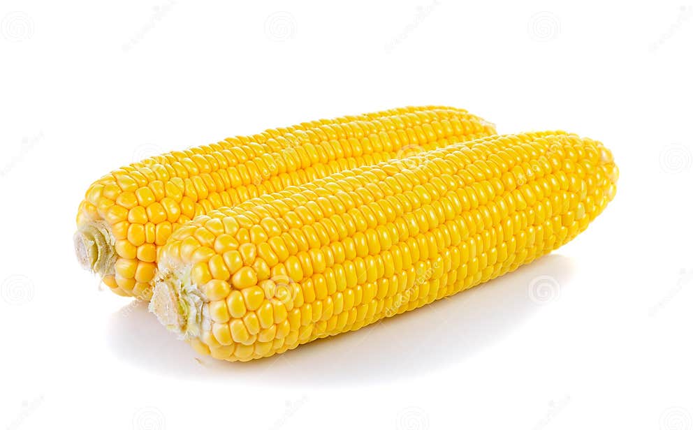 Sweet Corn on White Background Stock Image - Image of kernels ...