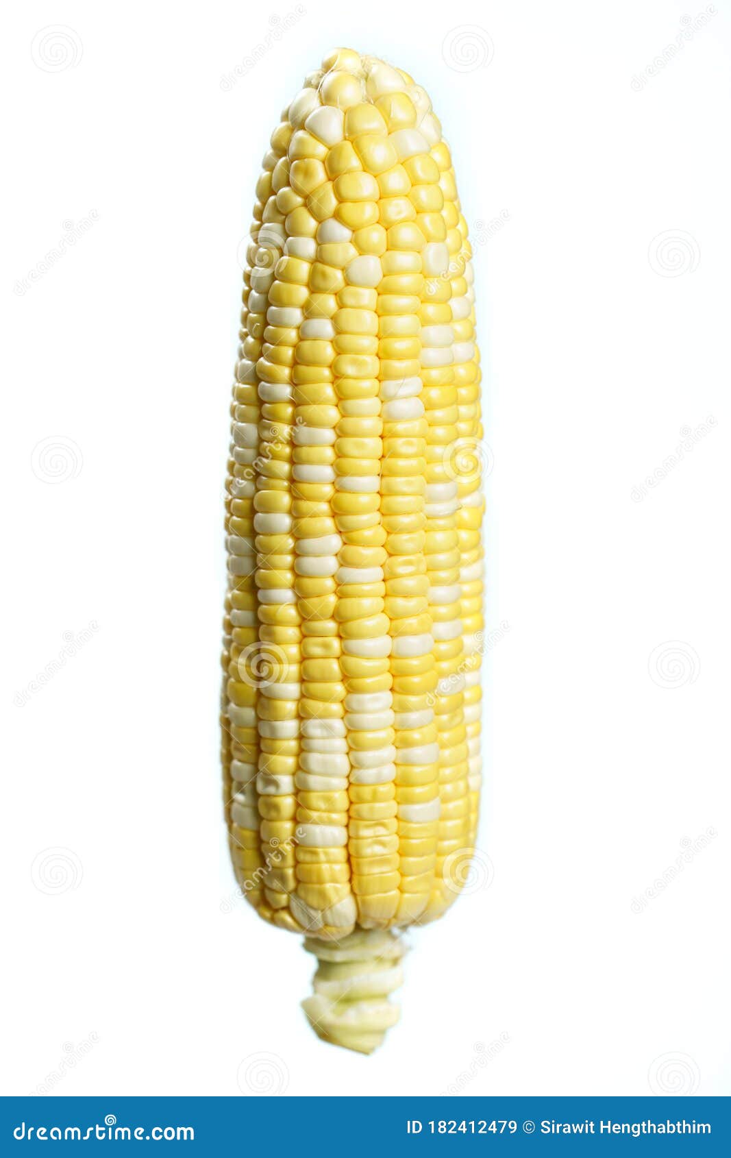 Sweet Corn on White Background. Isolated Stock Image - Image of popcorn ...