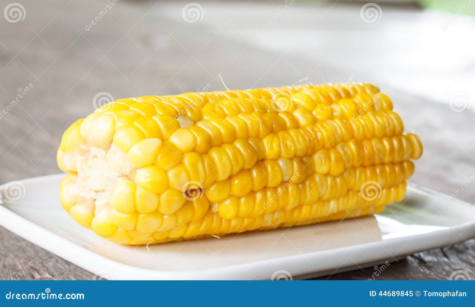 Sweet corn stock image. Image of life, maize, nutritious - 44689845