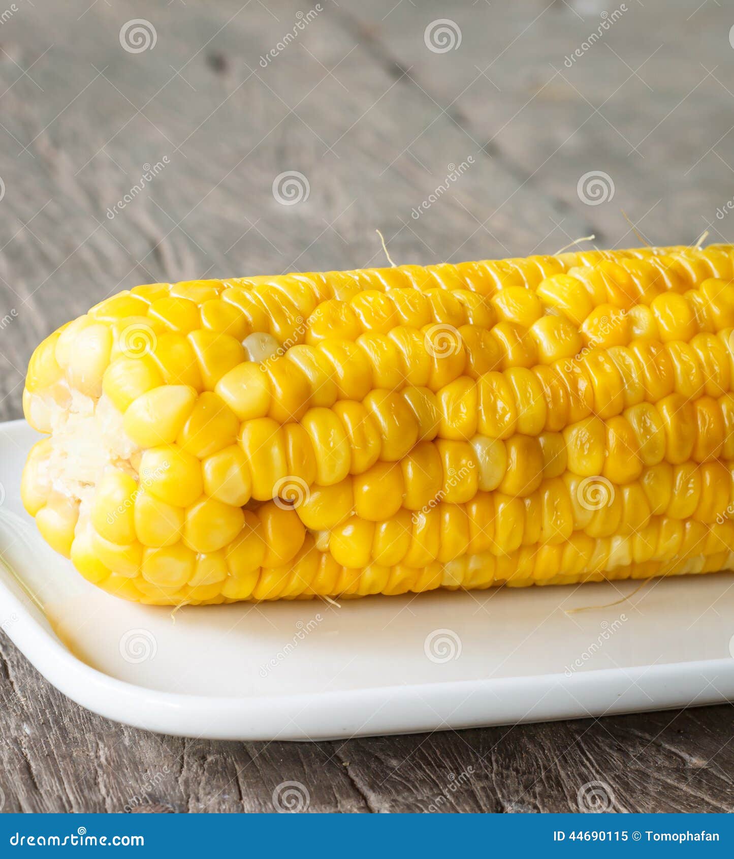 Sweet corn stock image. Image of nature, agriculture - 44690115