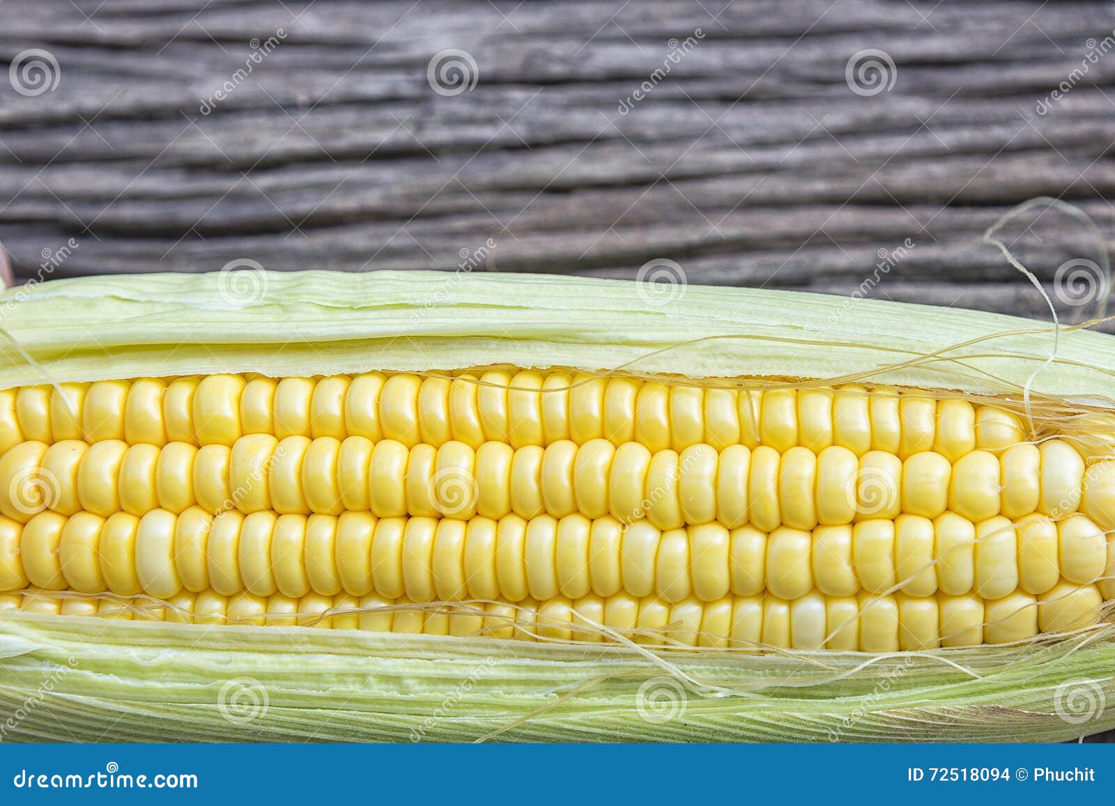 The sweet corn stock photo. Image of meal, closeup, leaf - 72518094
