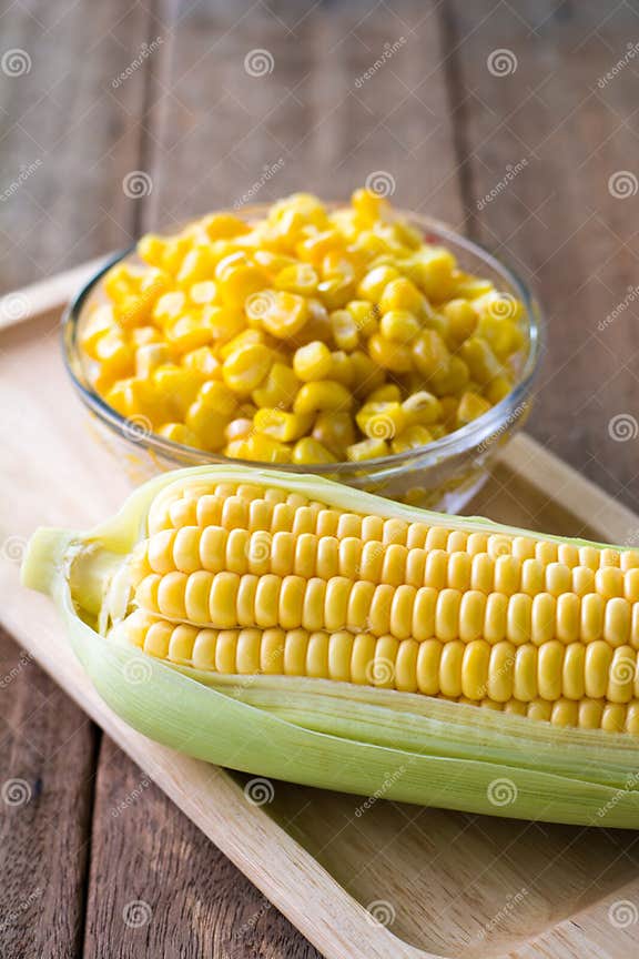 Sweet corn stock photo. Image of ripe, rural, sweetcorn - 63071242