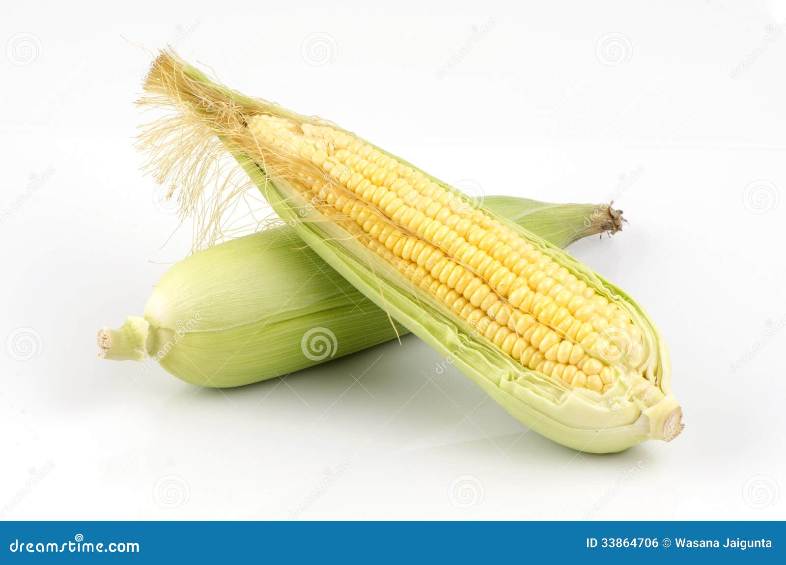 Sweet corn(Zea mays L.) stock photo. Image of food, seed - 33864706