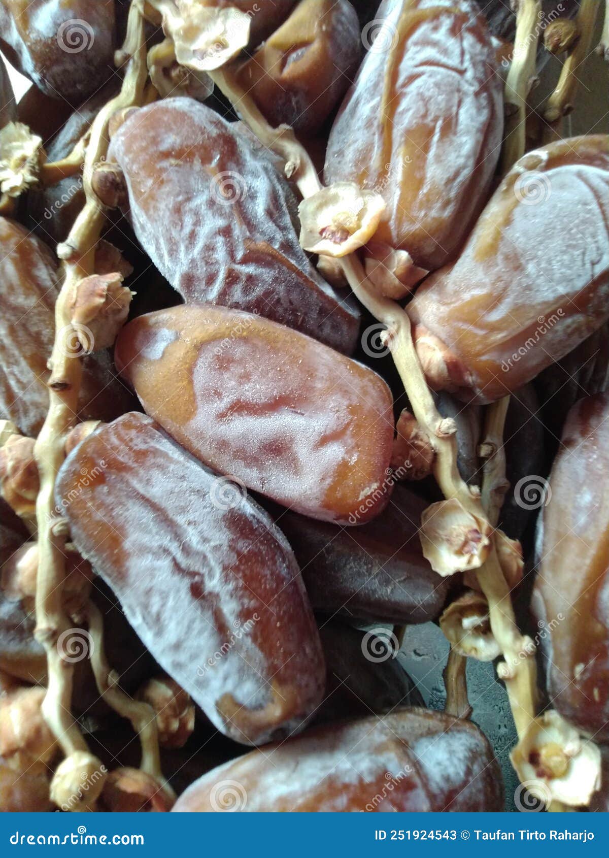 Sweet and Crunchy Stemmed Tunis Dates Stock Image - Image of sweet ...