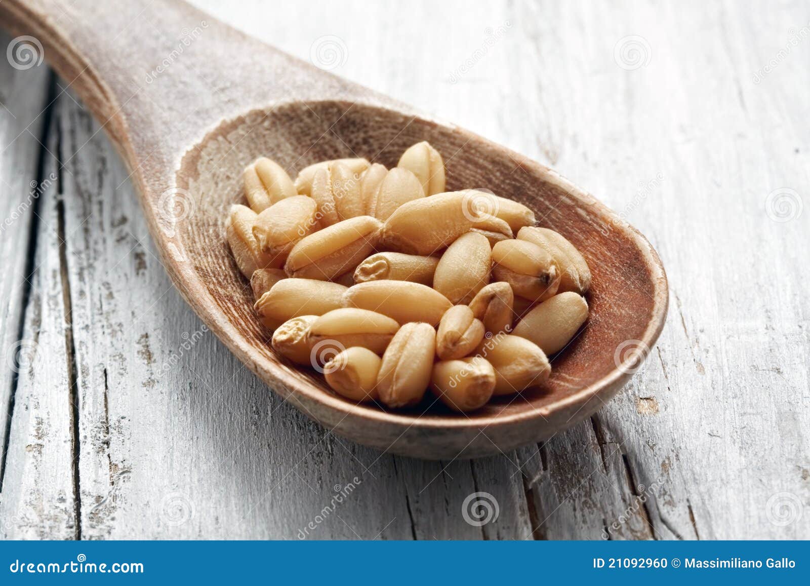 Sweet dry wheat stock photo. Image of soup, wheat, group - 21092960