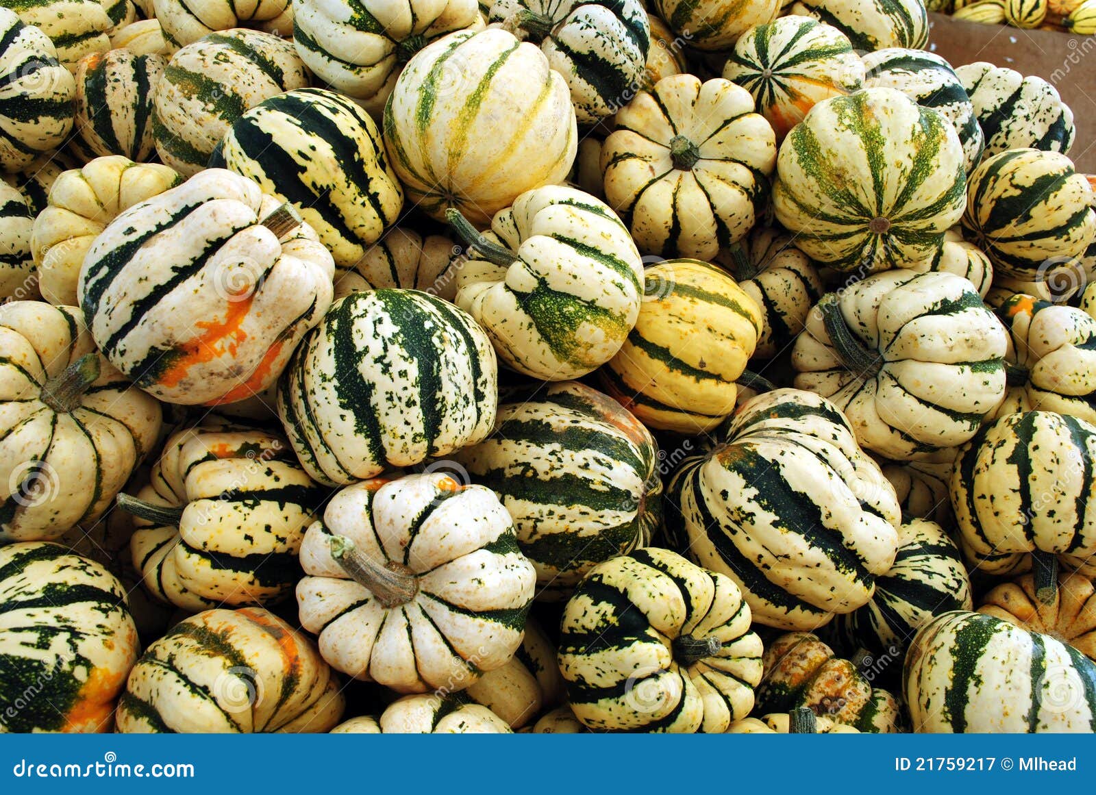 Dumpling Stock Photography | CartoonDealer.com #73948760