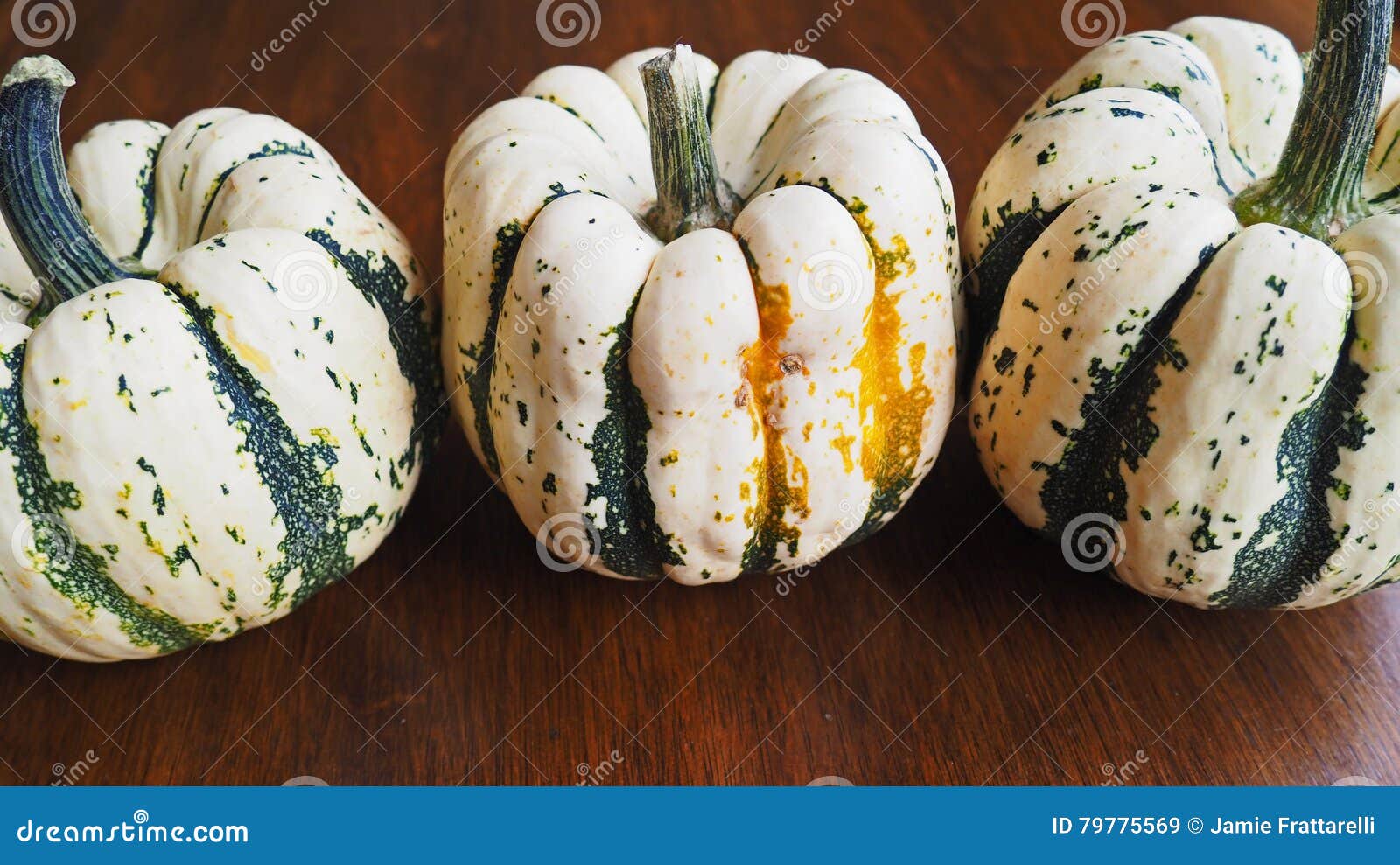 Sweet Dumpling Squash stock image. Image of squash, squashes - 79775569