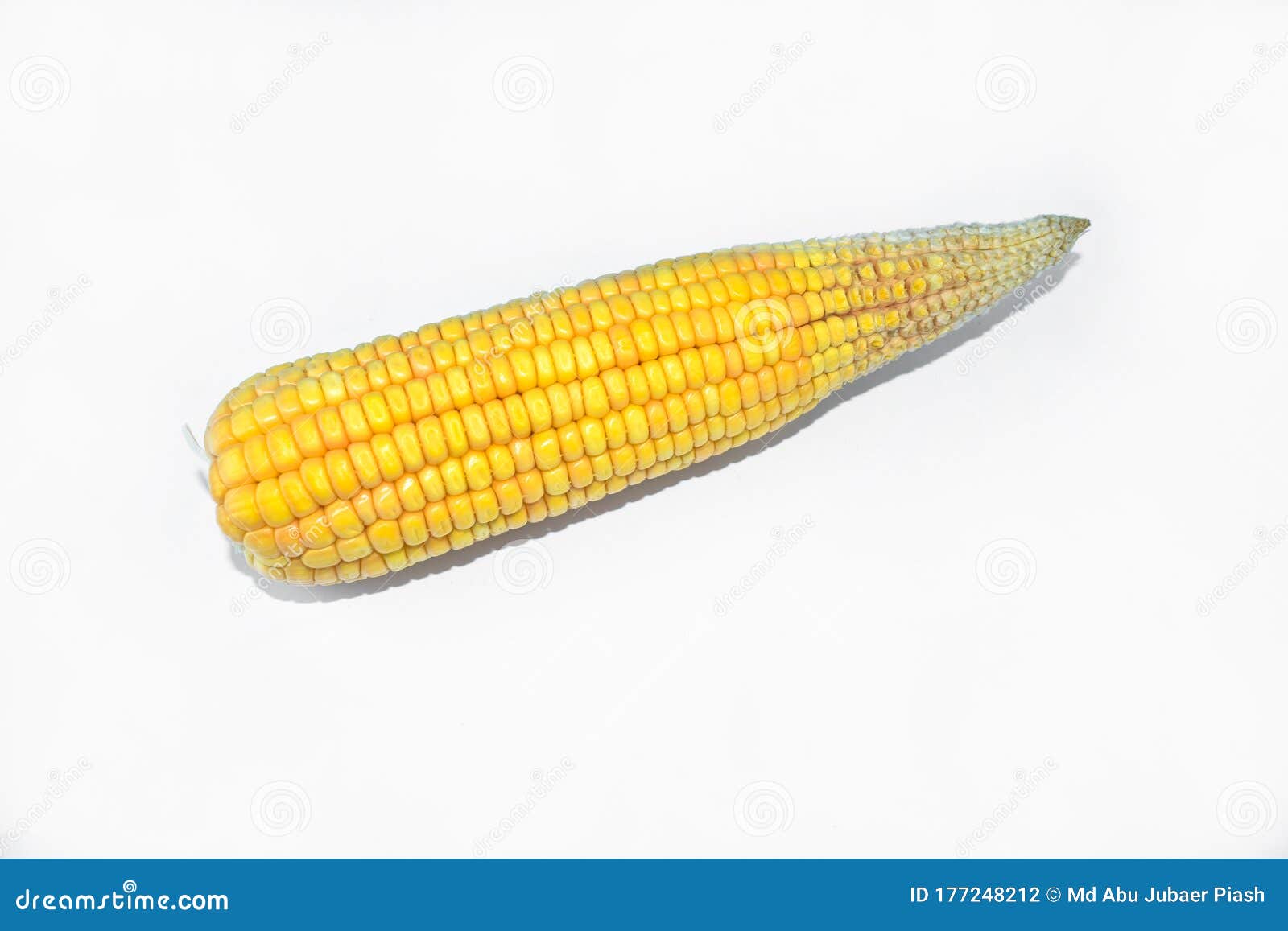 A Sweet Ear of Yellow Corn without Leaves Isolated on a White ...