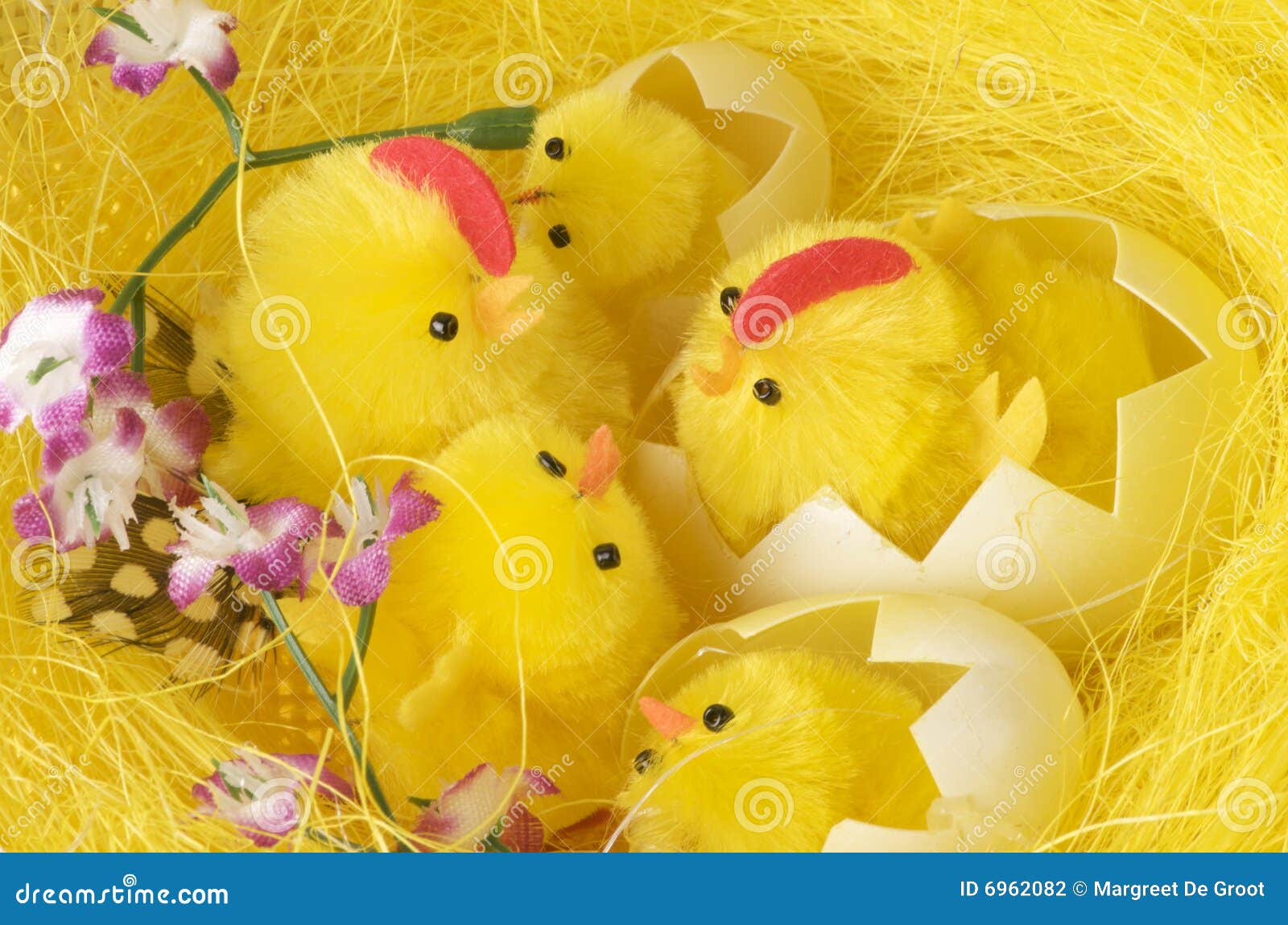 Sweet easter chickens stock photo. Image of spring, traditional - 6962082