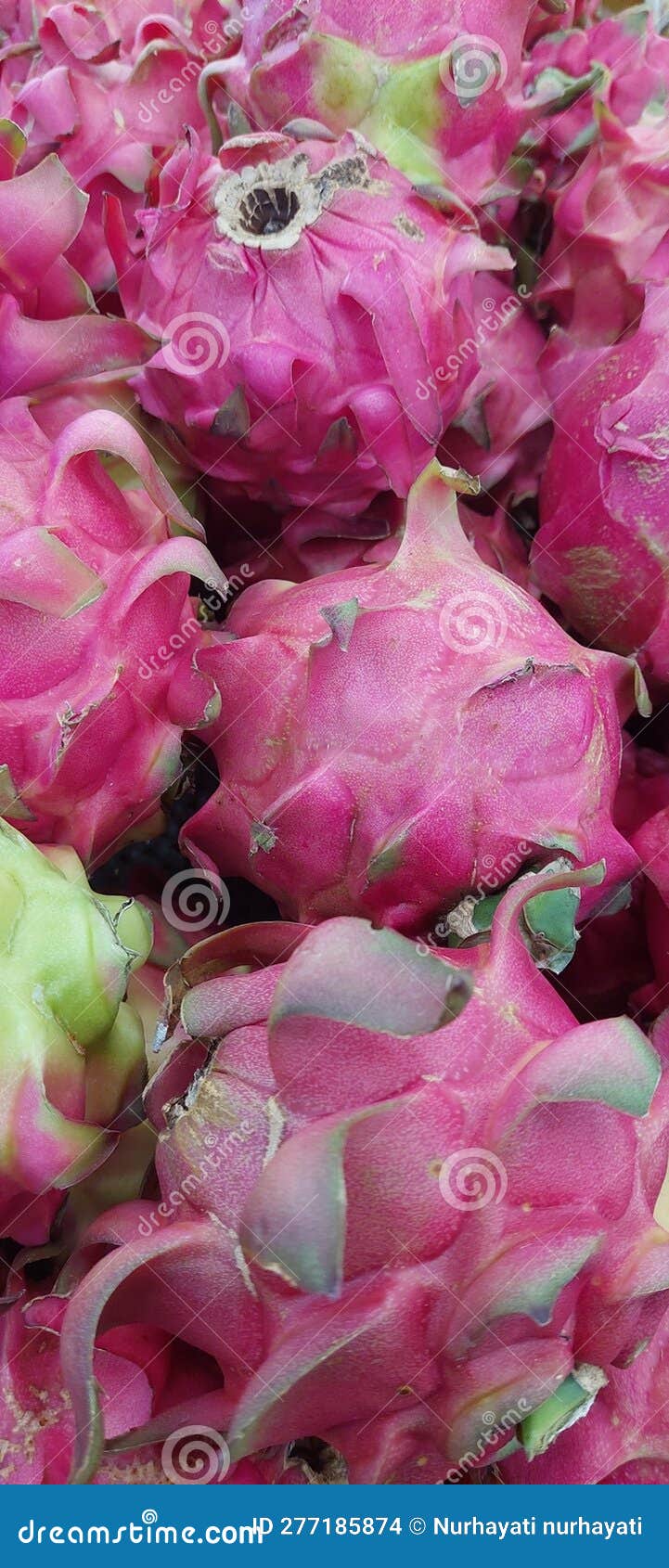 Sweet and Fresh Dragon Fruit Lined Up Neatly Stock Photo - Image of ...