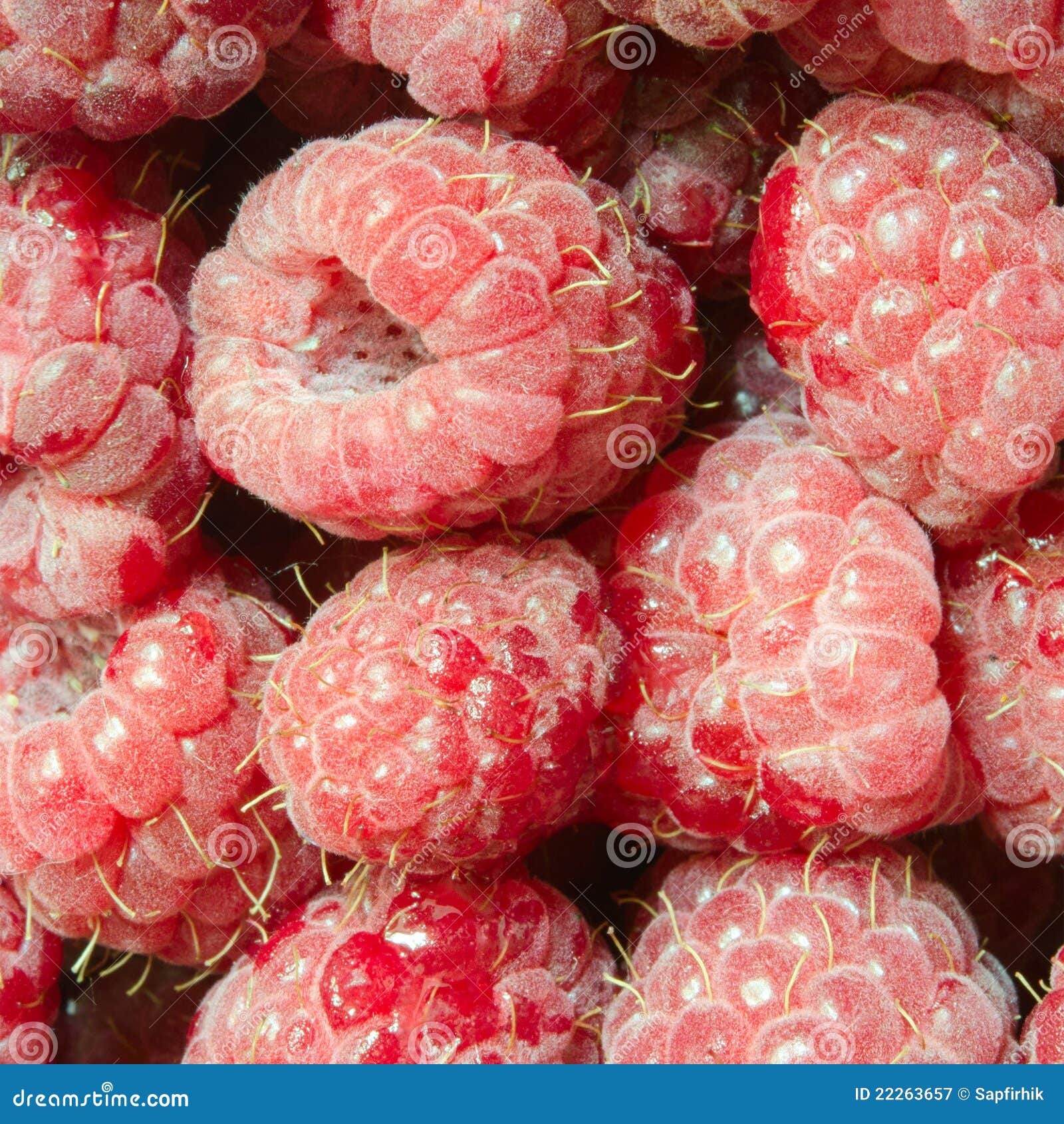 Sweet fresh raspberries stock image. Image of texture - 22263657