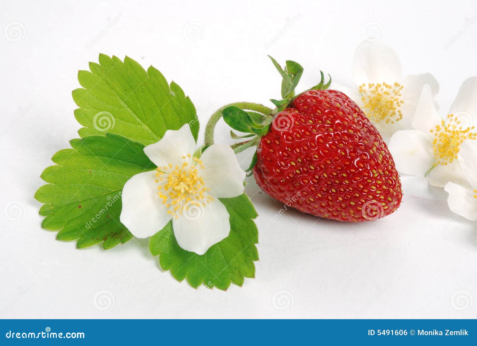 Sweet fresh strawberry stock photo. Image of leaf, vegetarian - 5491606