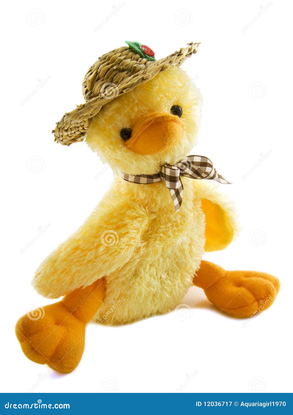 Sweet fuzzy duckling stock image. Image of pattern, adorable - 12036717