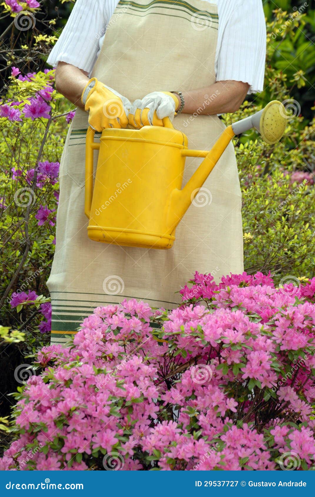 Sweet garden. stock image. Image of life, adult, color - 29537727