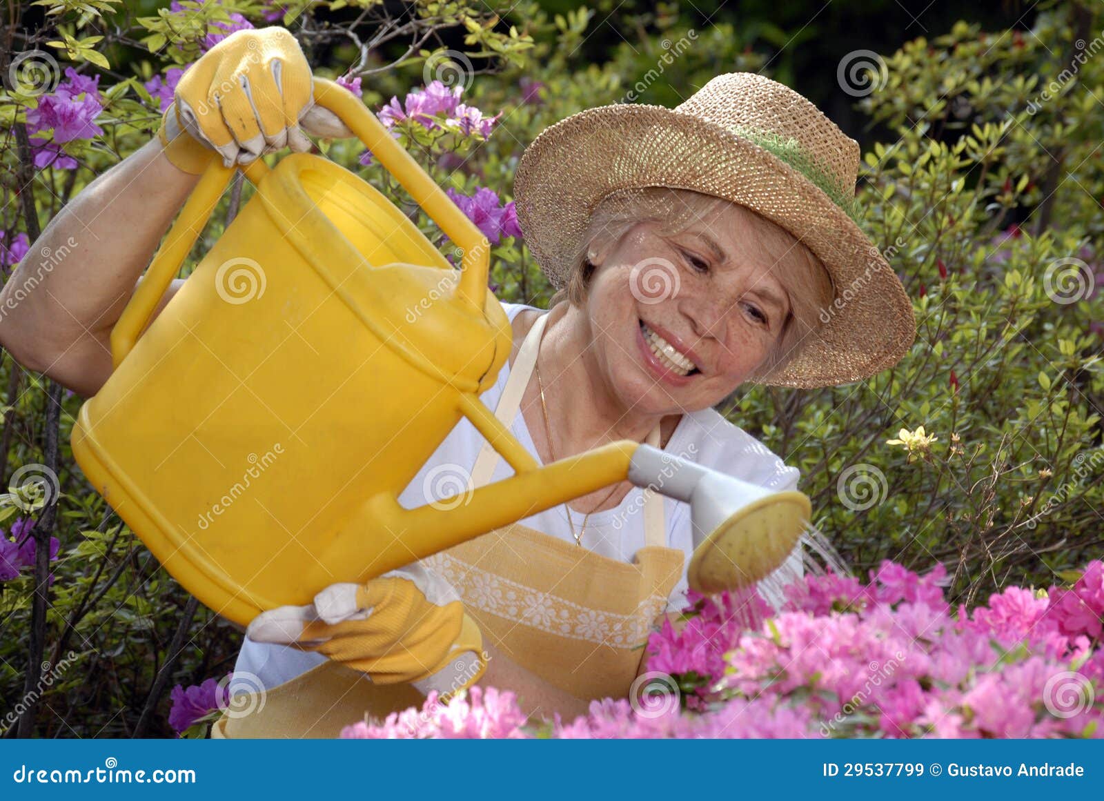 Sweet garden. stock image. Image of flowers, planting - 29537799