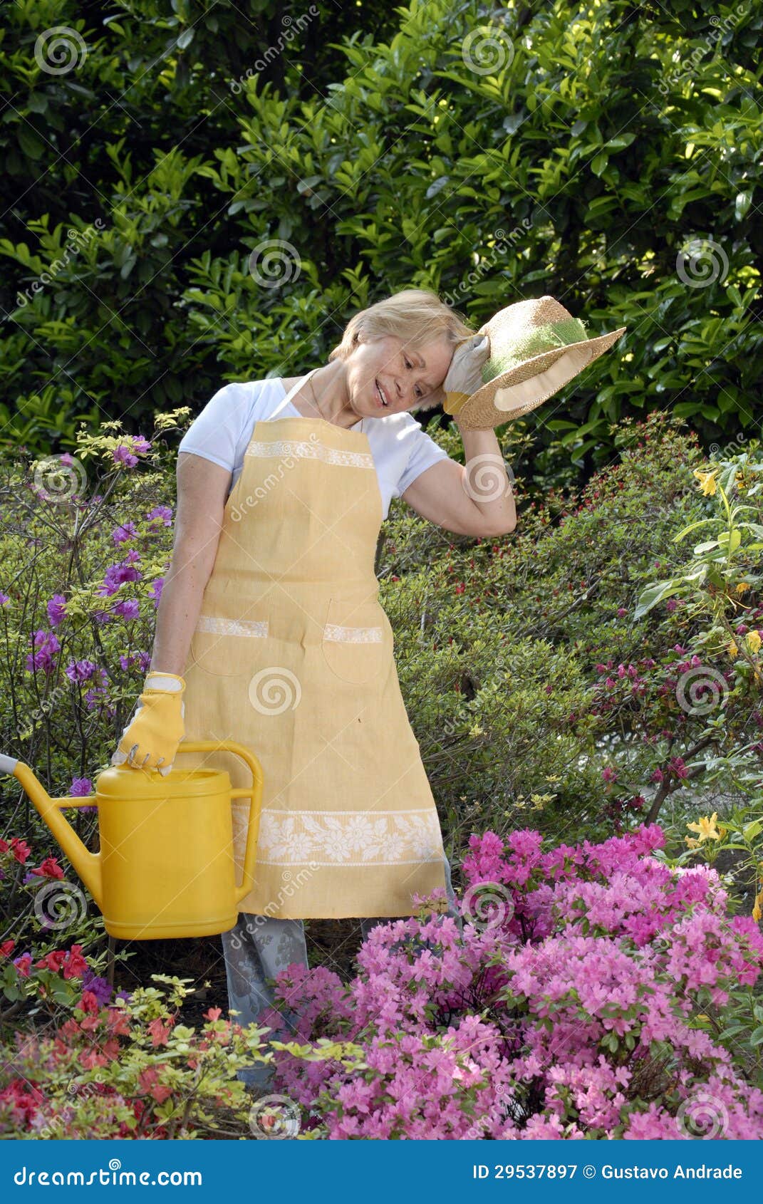 Sweet garden. stock image. Image of caucasian, cheerful - 29537897