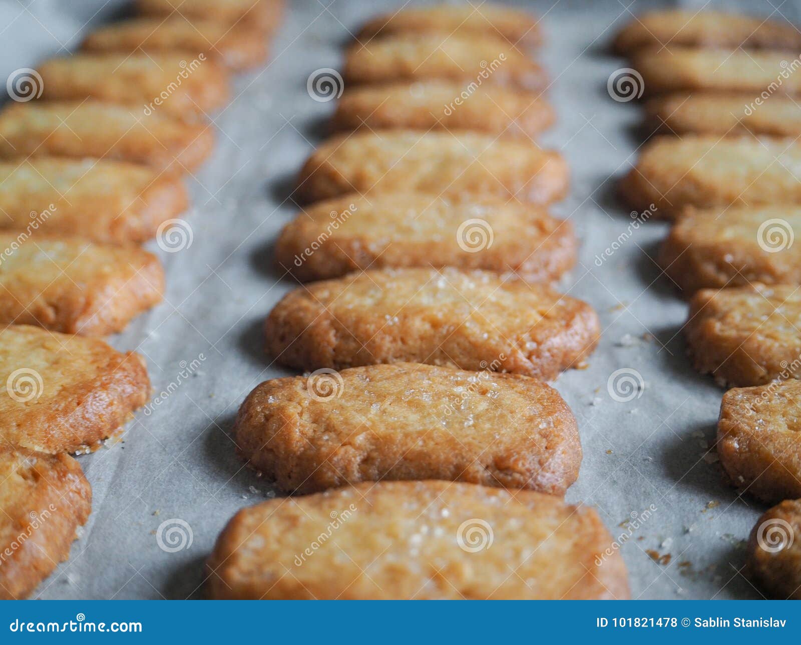 Sweet Ginger Biscuits Flat Pattern To Lay on a Light Background. the ...