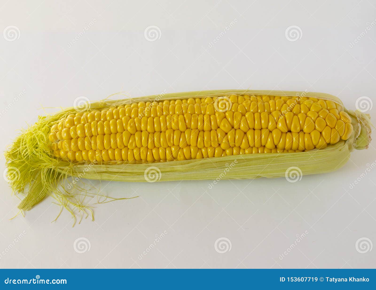 .Sweet Golden Corn. Image of a Yellow Grain of Sweet Corn on the Cob ...