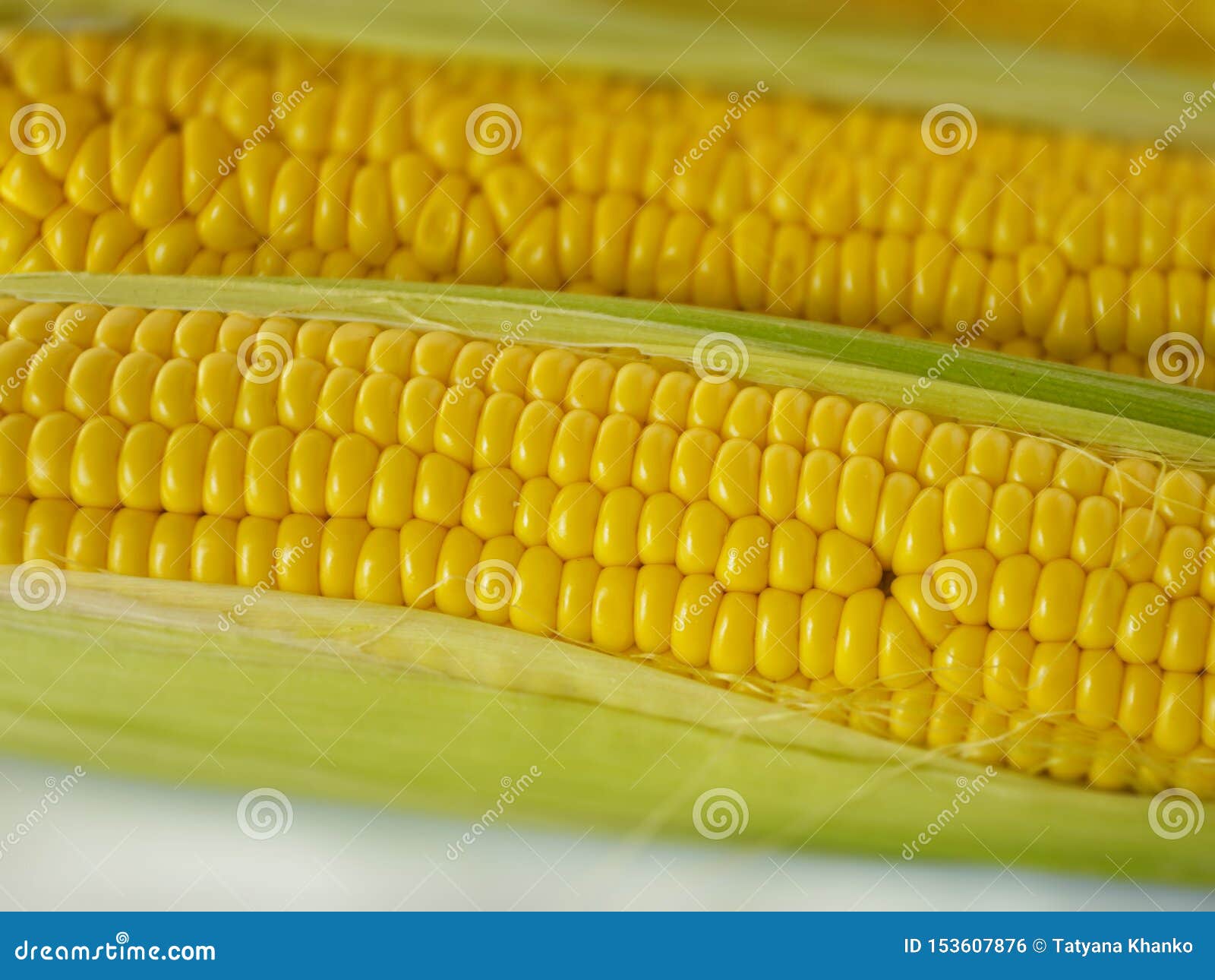 .Sweet Golden Corn. Image of a Yellow Grain of Sweet Corn on the Cob ...