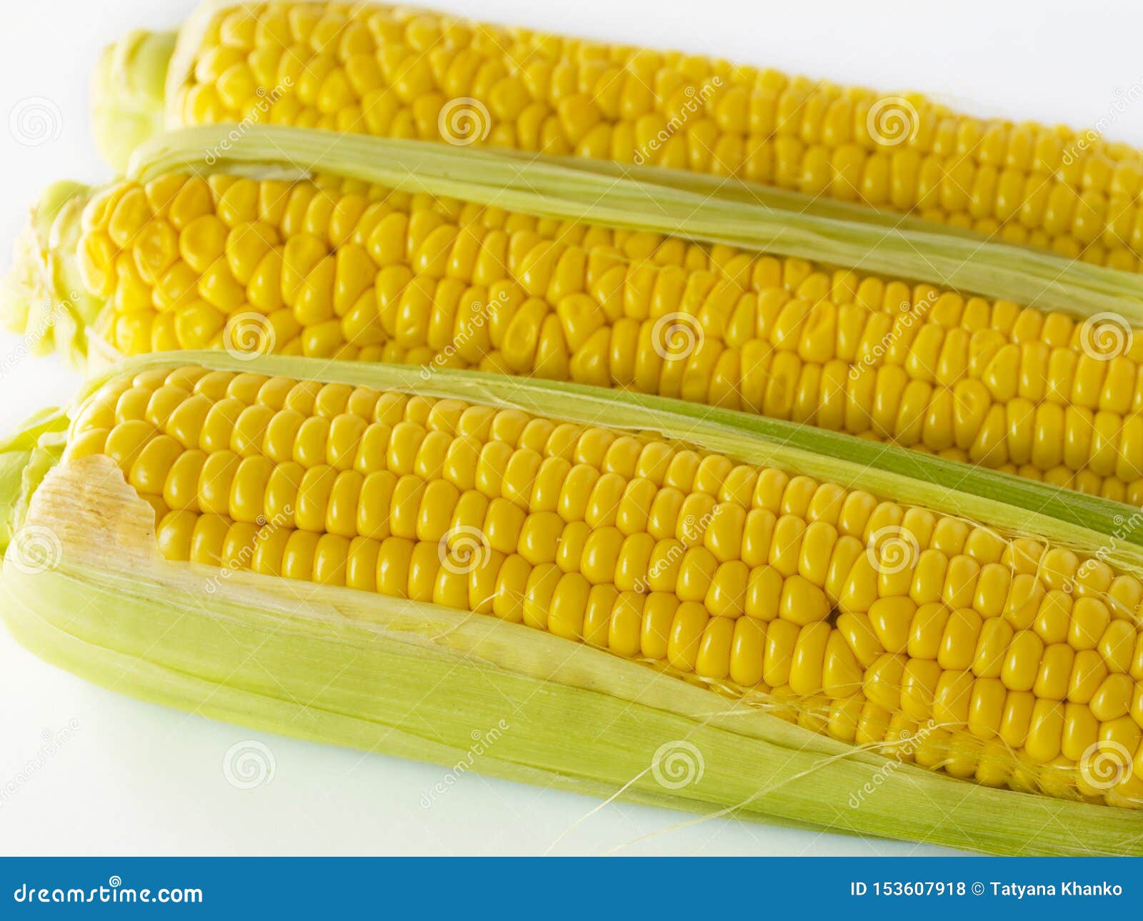 .Sweet Golden Corn. Image of a Yellow Grain of Sweet Corn on the Cob ...