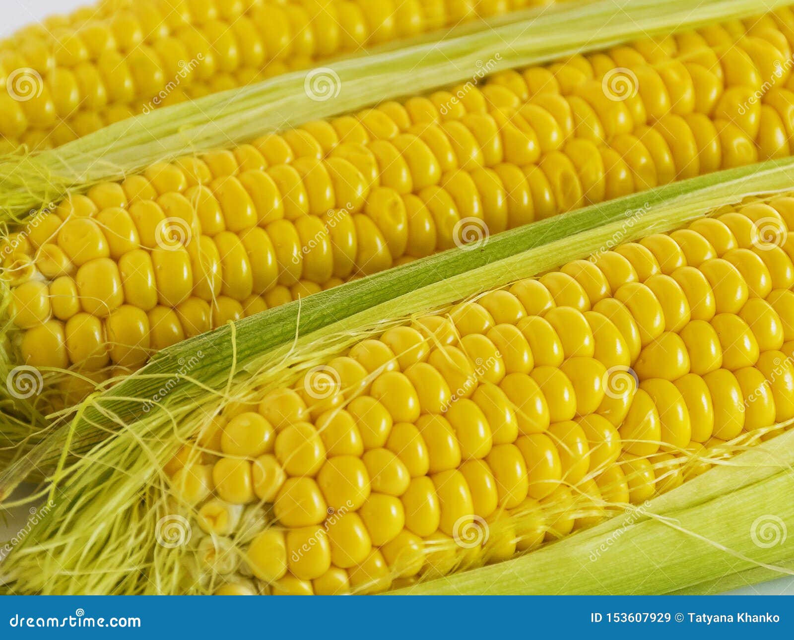 .Sweet Golden Corn. Image of a Yellow Grain of Sweet Corn on the Cob ...