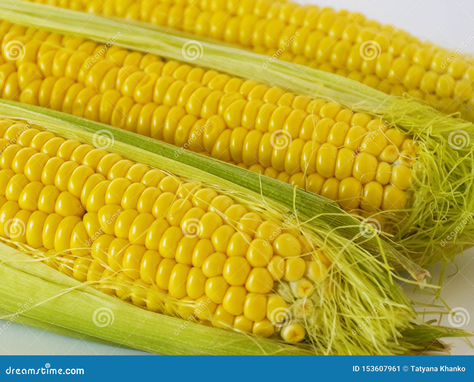 .Sweet Golden Corn. Image of a Yellow Grain of Sweet Corn on the Cob ...