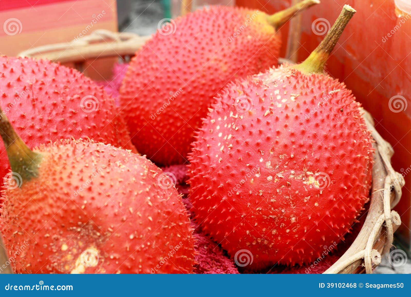 Sweet gourd in the market stock photo. Image of bunch - 39102468