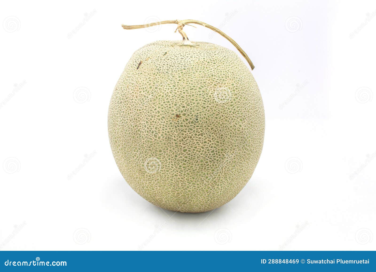 Sweet Green Melons on White Background Stock Image - Image of freshness ...