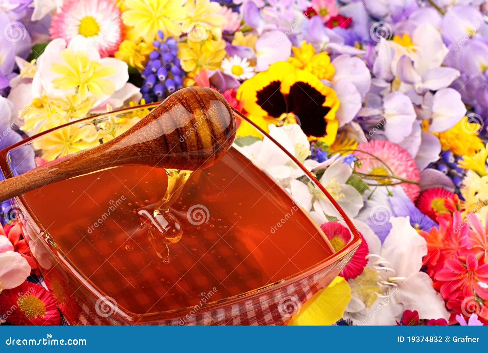 Sweet honey in flowers 2 stock photo. Image of transparent - 19374832