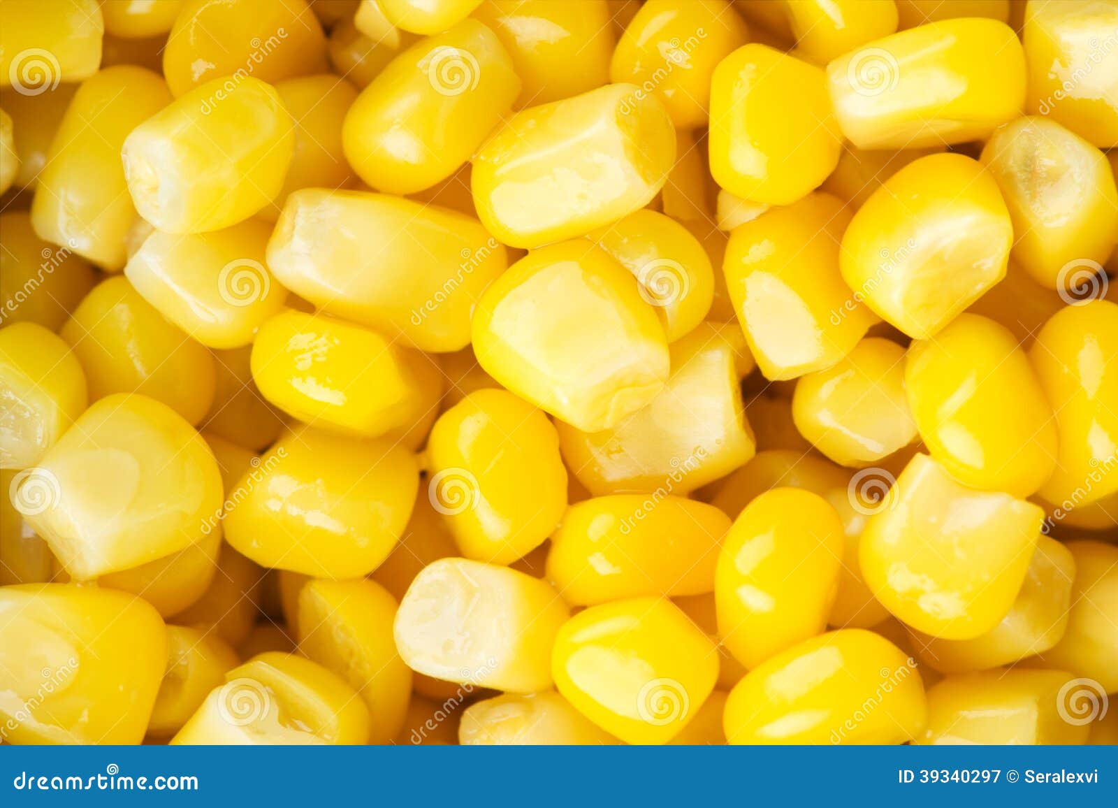 Sweet Kernel Corn Background Stock Image - Image of sweet, grain: 39340297