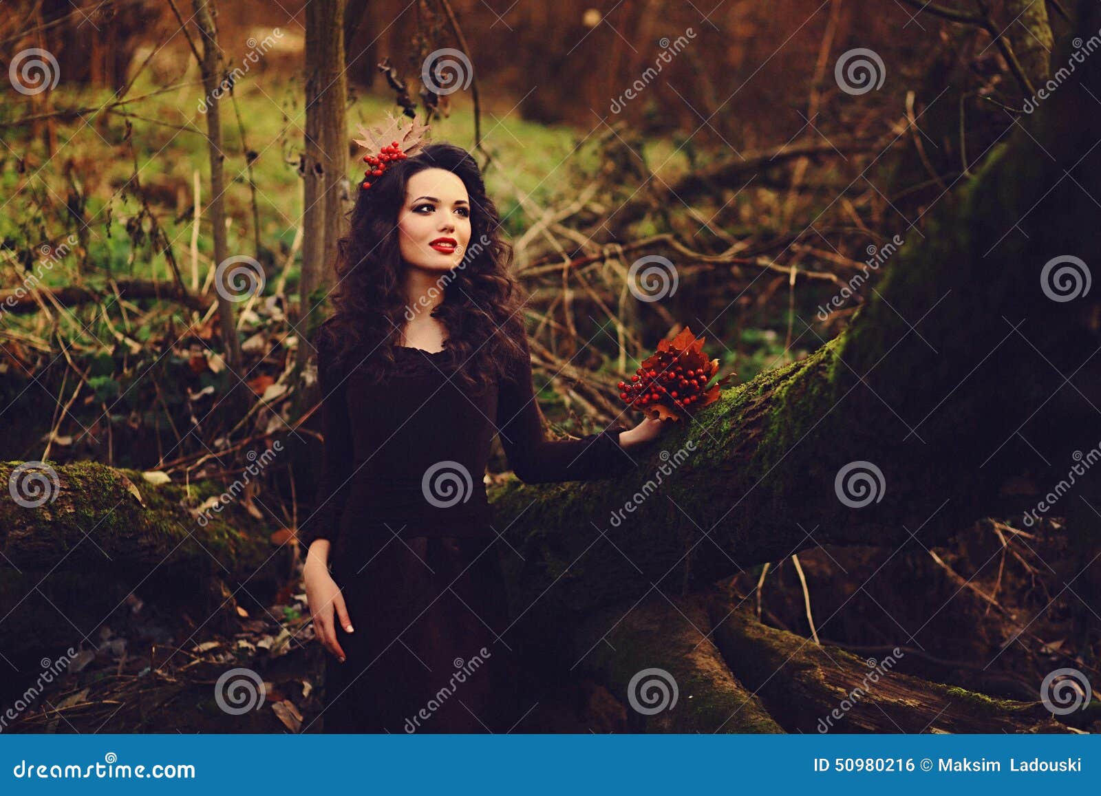 Sweet Lady in a Magical Forest Stock Photo - Image of fairy, colorful ...