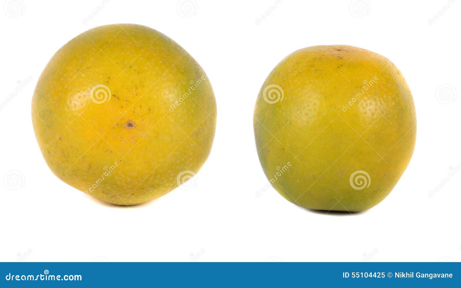 Sweet Lime stock image. Image of limes, sweet, fruits - 55104425