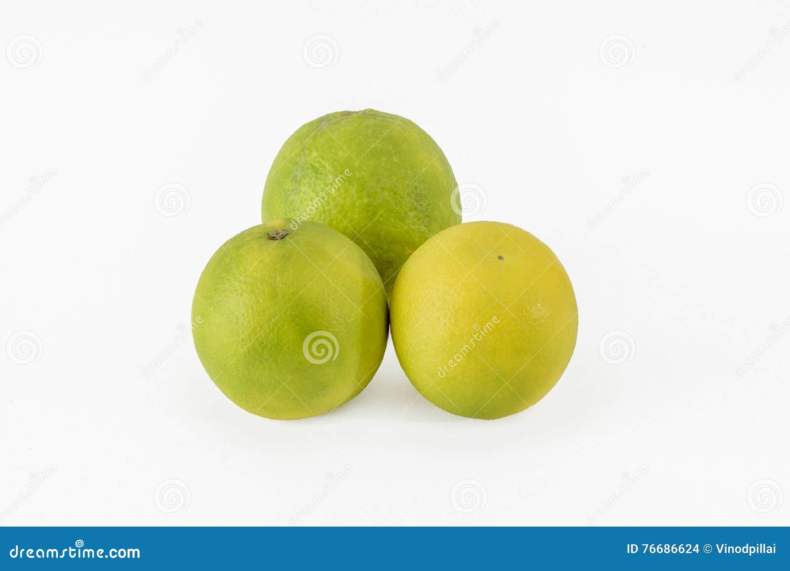 Sweet lime stock photo. Image of ripe, green, citrus - 76686624
