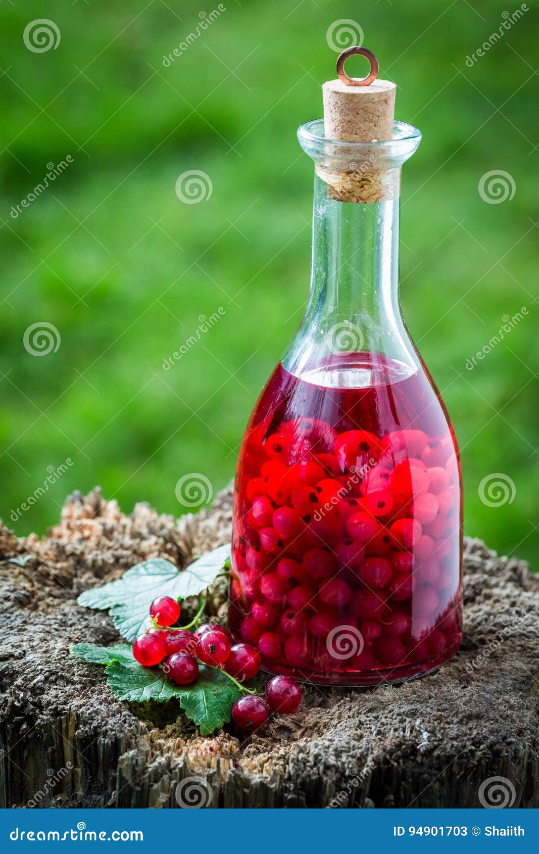 Sweet Liqueur Made of Alcohol and Redcurrants in Summer Stock Image ...