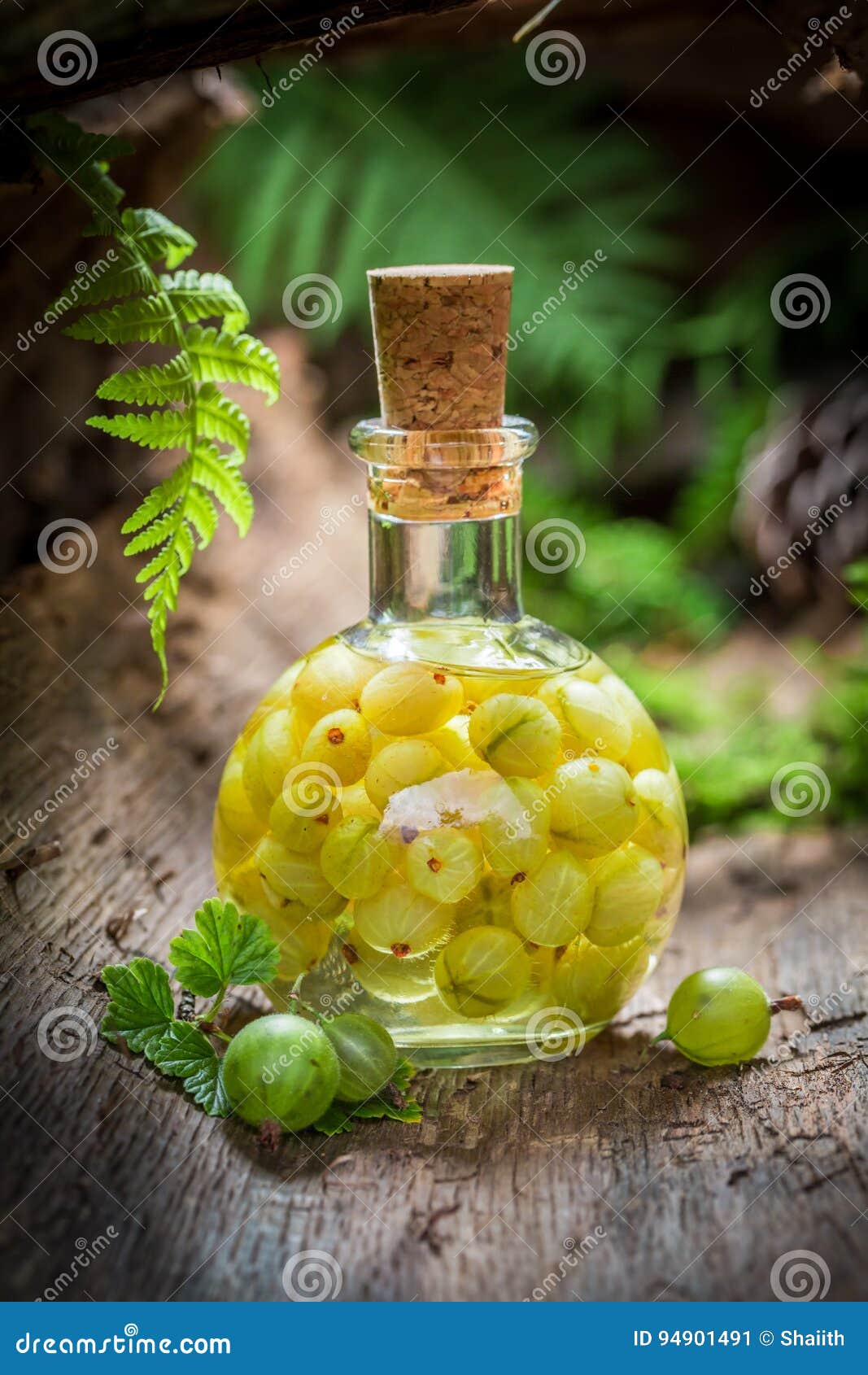 Sweet Liqueur Made of Gooseberries and Alcohol in Forest Stock Image ...