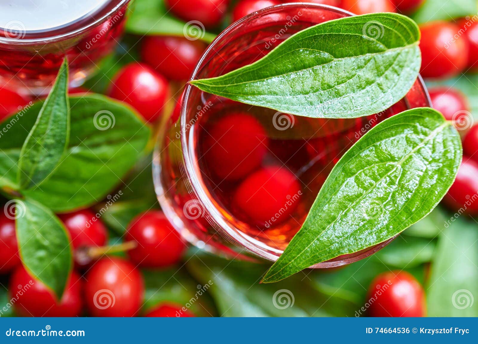 Sweet Liqueur Made from Ripe Cornelian Cherry Stock Photo - Image of ...
