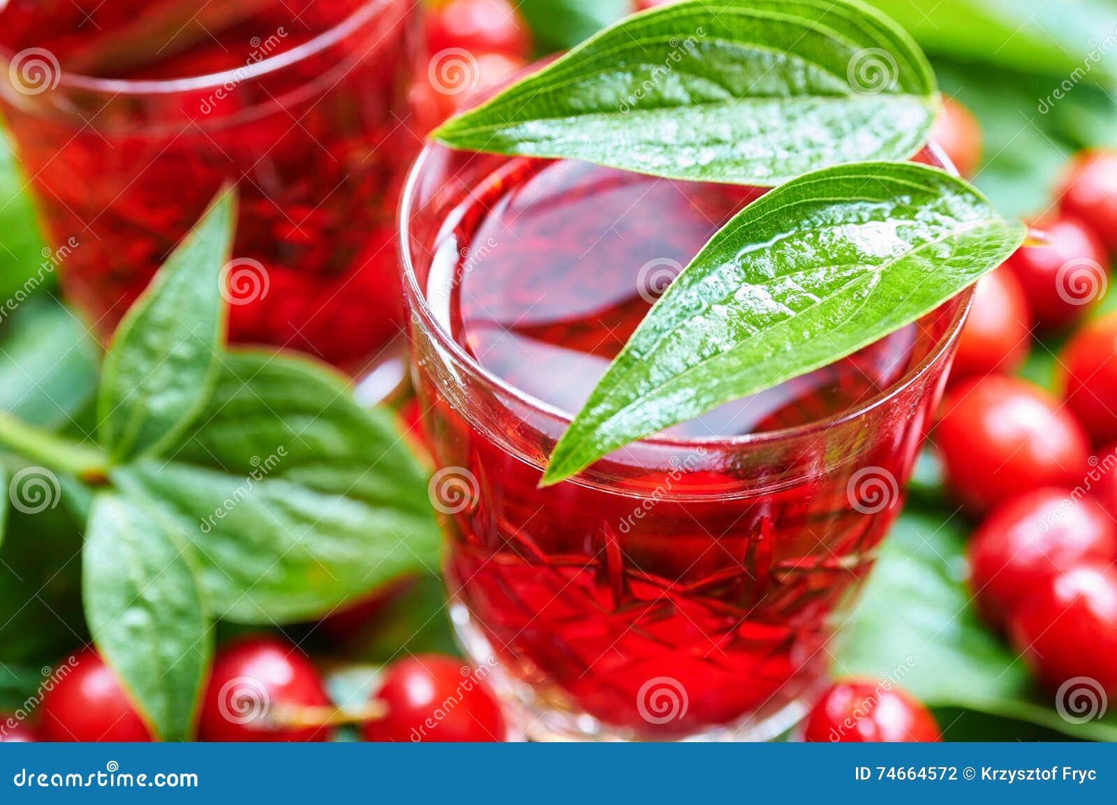 Sweet Liqueur Made from Ripe Cornelian Cherry Stock Photo - Image of ...