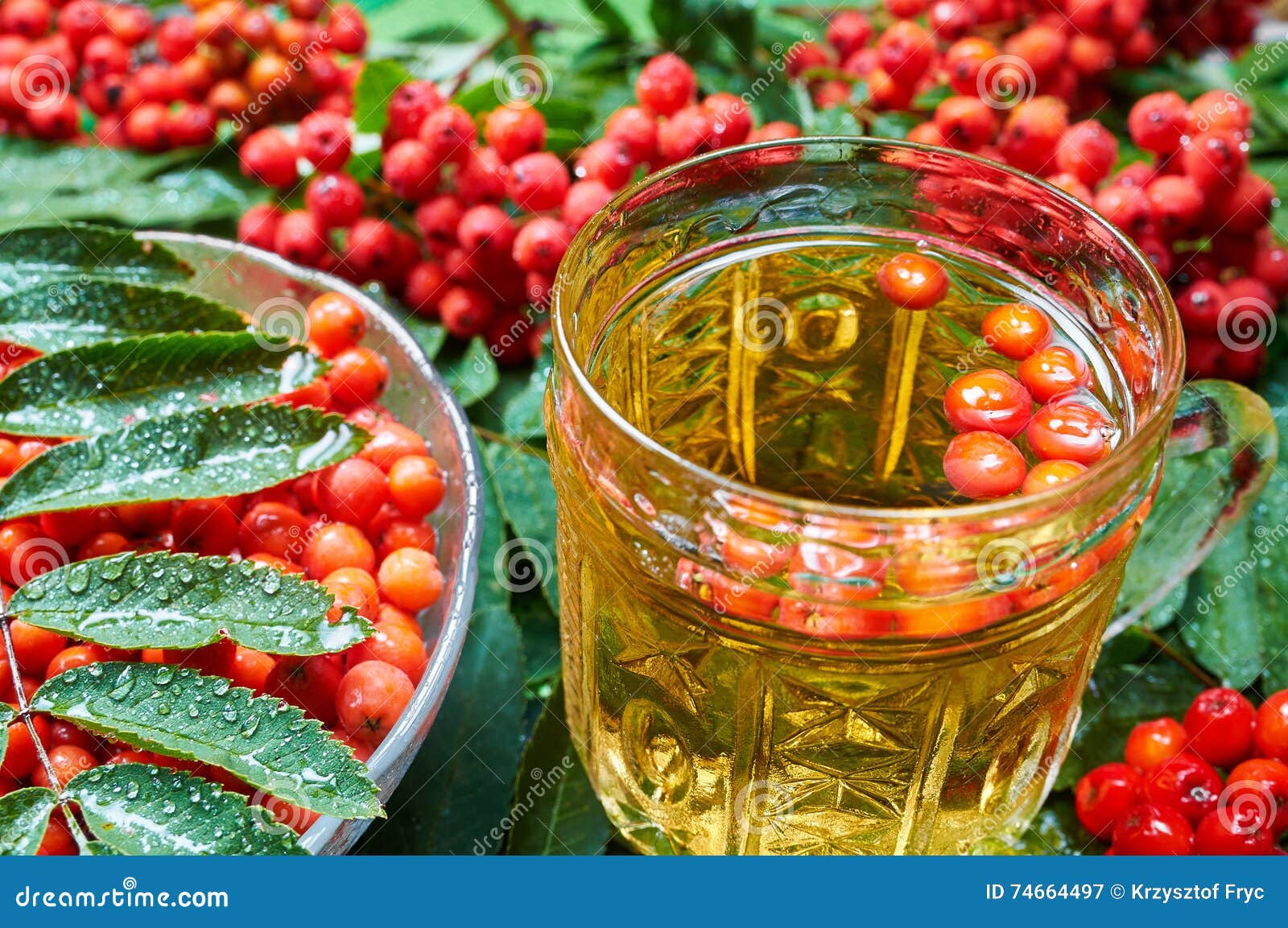 Sweet Liqueur Made from Rowan Berries Stock Image - Image of botanic ...
