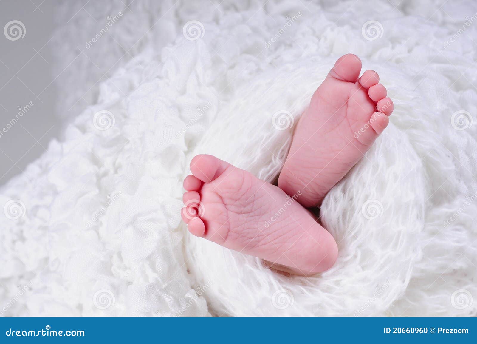 Sweet little baby feet stock photo. Image of little, baby - 20660960